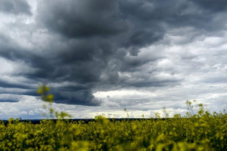 Faits-Divers : Un "avion-fantôme" autrichien s'abîme en mer au large de ...